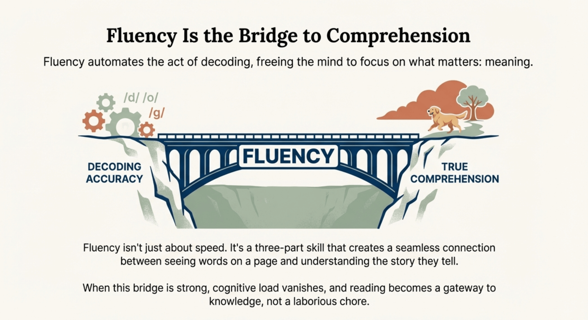 Reading Accuracy vs Fluency | Why Both Skills Matter for Comprehension
